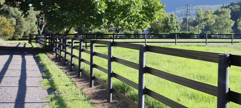 Stallion Rail – Perfect for the Show Horse - Duncan Equine Australia
